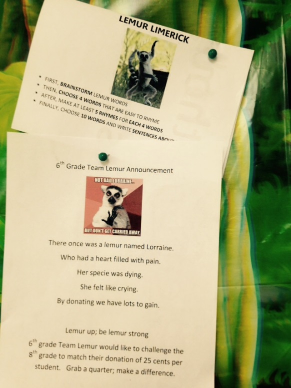 6th Grade- Team Lemur-Ellis School: A Year of Learning thru Lemurs ...