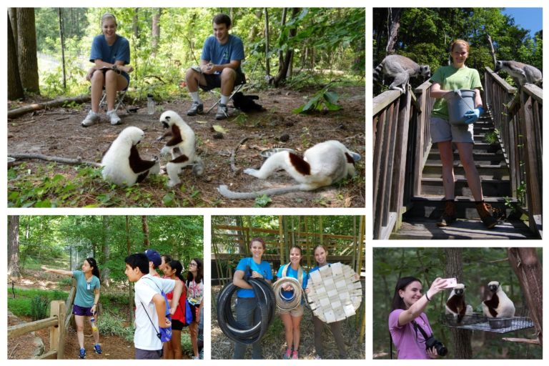 Internships - Duke Lemur Center