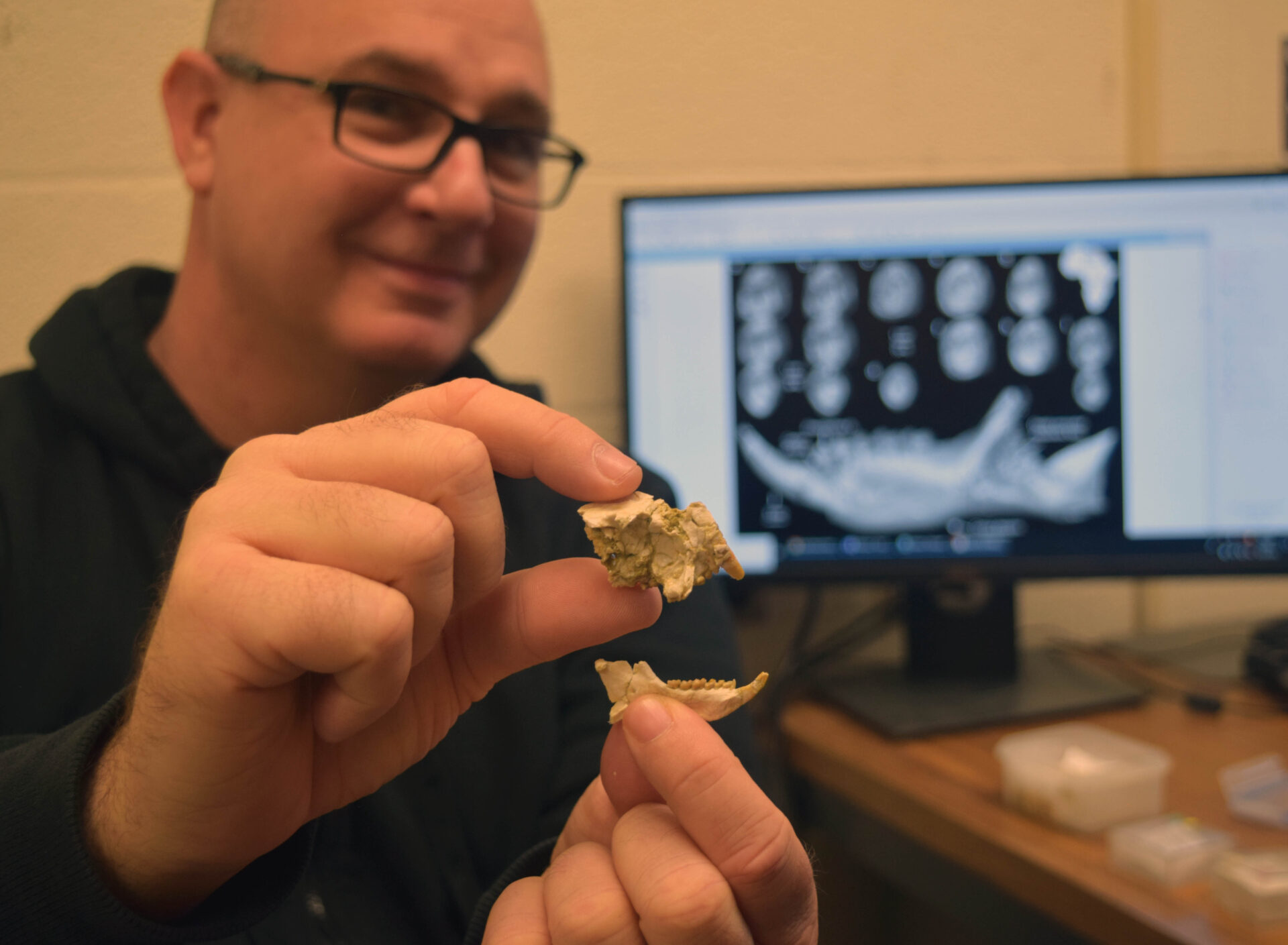 Fossil Friday: Paleopropithecus, Hapalemur, and Plesiopithecus - Duke ...