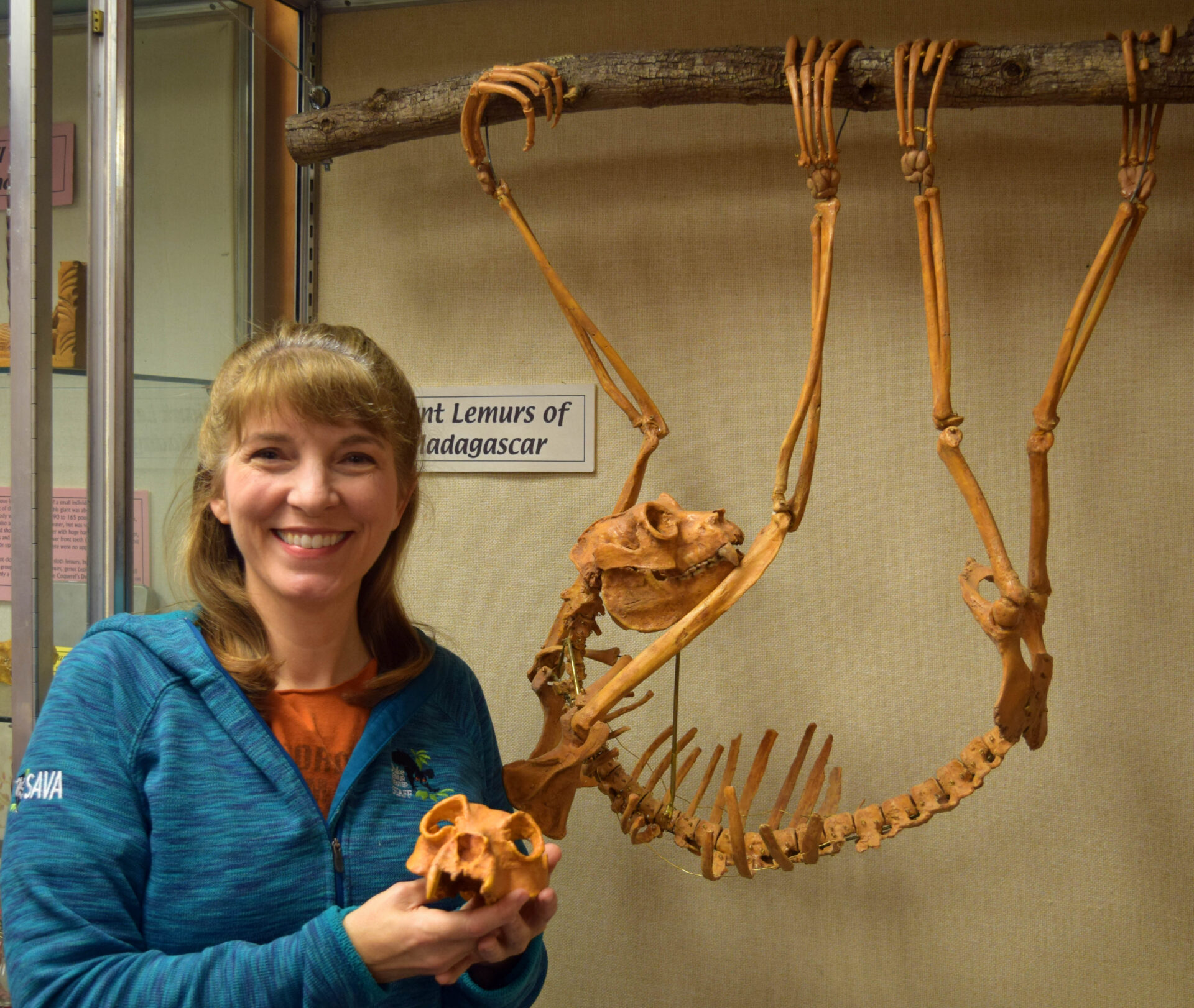Fossil Friday: Paleopropithecus, Hapalemur, and Plesiopithecus - Duke ...
