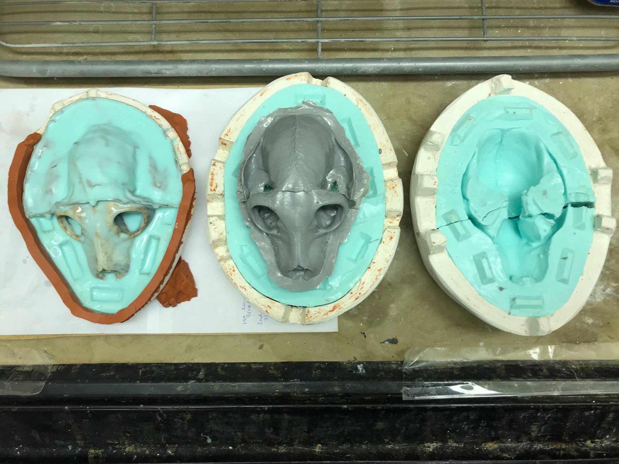 Fossil Friday: Babakotia, an extinct sloth lemur - Duke Lemur Center