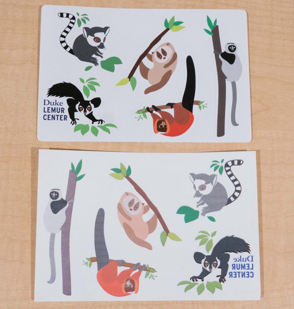 Merchandise: Best Sellers - Duke Lemur Center