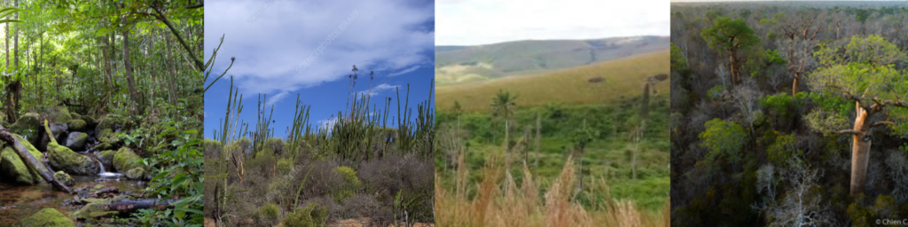 11-21 Climate and Seasonality in Madagascar - Duke Lemur Center