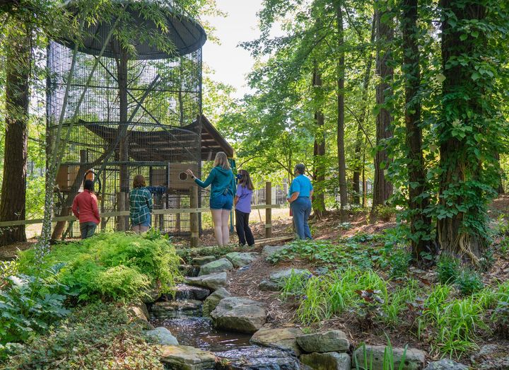 Lemur Tours - Duke Lemur Center