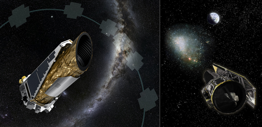 INFANT ANNOUNCEMENT: Meet Kepler and Spitzer! - Duke Lemur Center