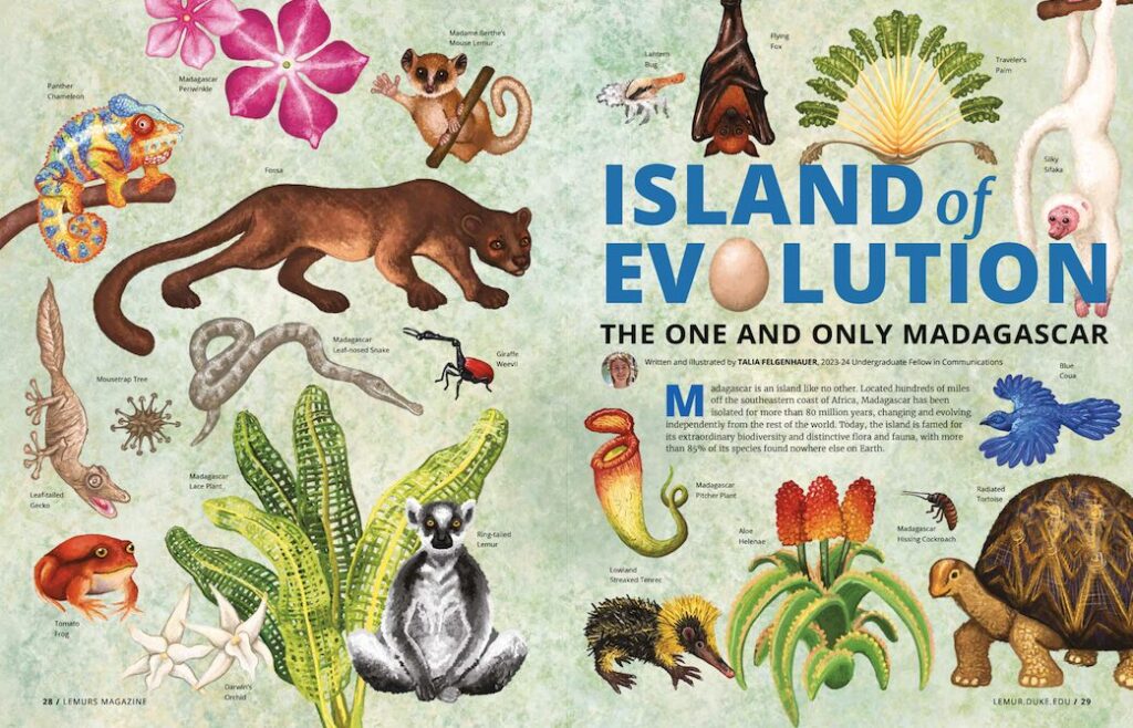 Island of Evolution: The One and Only Madagascar - Duke Lemur Center