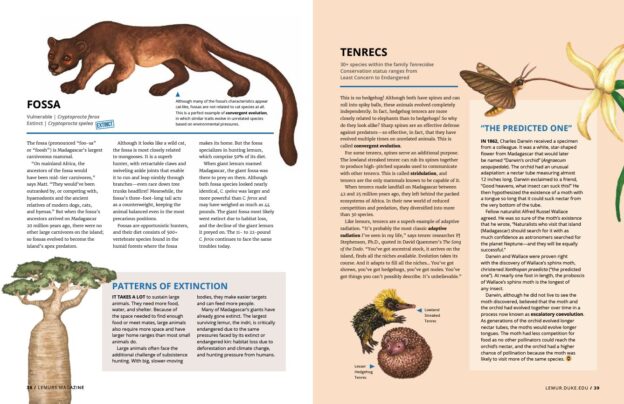 Island of Evolution: The One and Only Madagascar - Duke Lemur Center