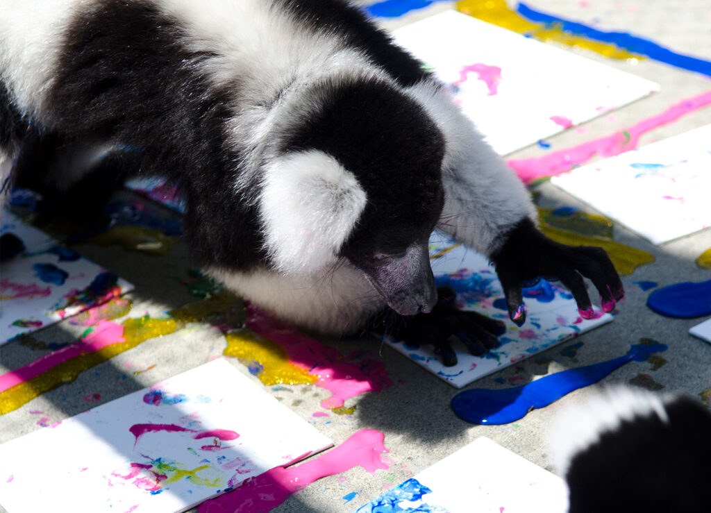 Animal Wellbeing - Duke Lemur Center